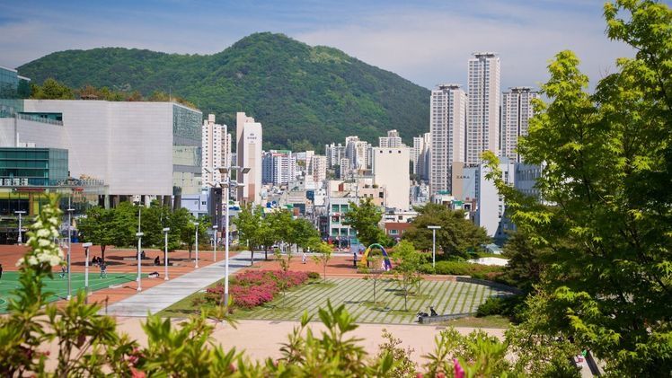 Why you should study at PNU🤓📚 | K-campus