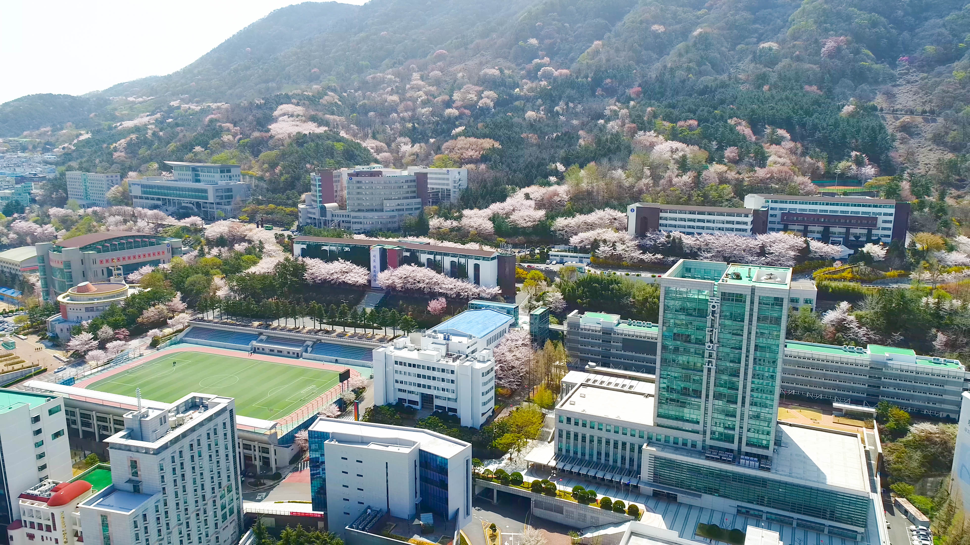 Dongseo University | K-campus