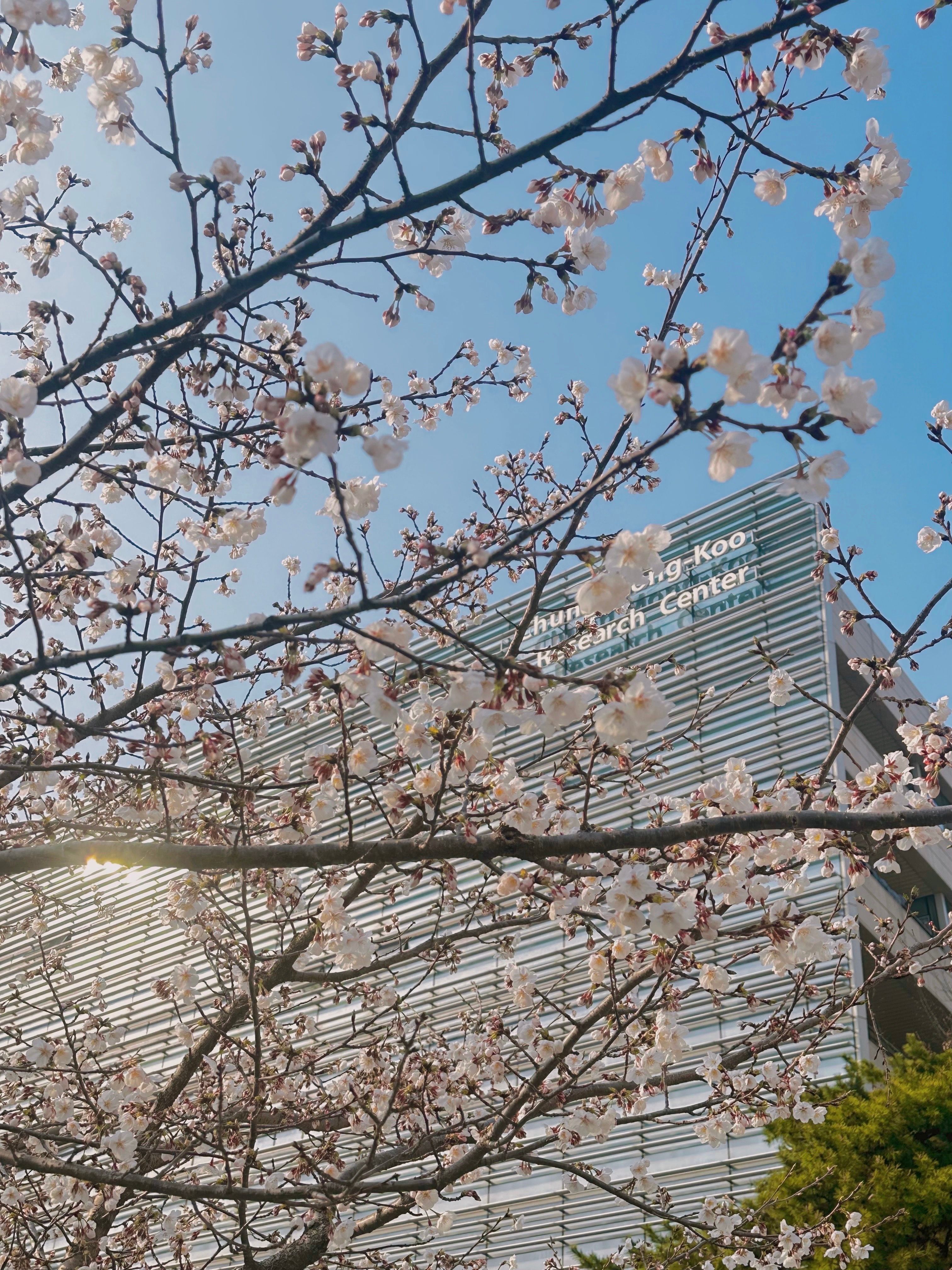 Hanyang University | K-campus